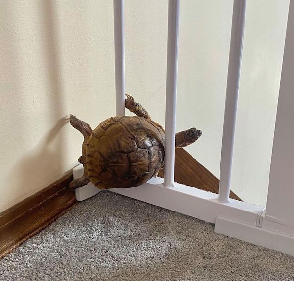 Life is all about the smallest moments of levity | theCHIVE | Humor