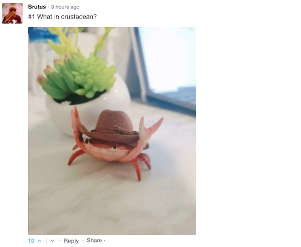 Top Comments of the week -- theCHIVE