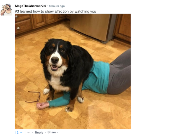 Top Comments of the week -- theCHIVE