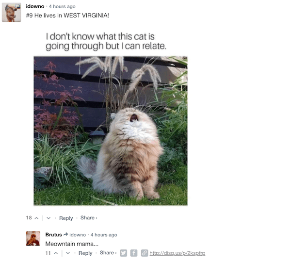 Top Comments of the week -- theCHIVE