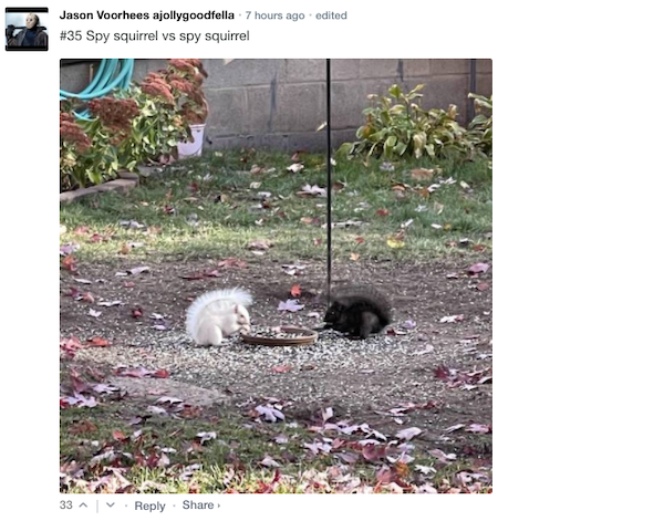 Top Comments of the week -- theCHIVE