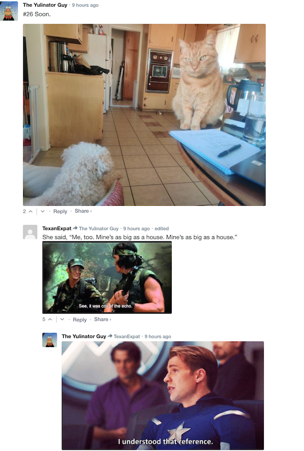 Top Comments of the week -- theCHIVE