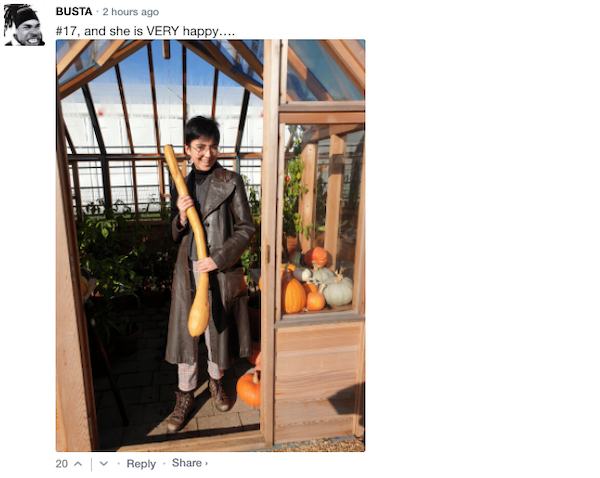 Top Comments of the week -- theCHIVE