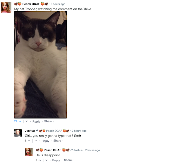 Top Comments of the week -- theCHIVE