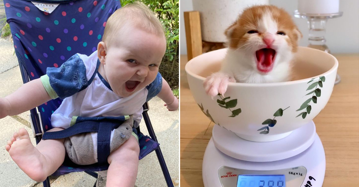 Moments of pure joy sure to fill your heart