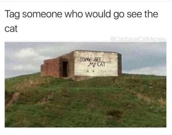 Paranormal Memes to keep you up at night... from laughter