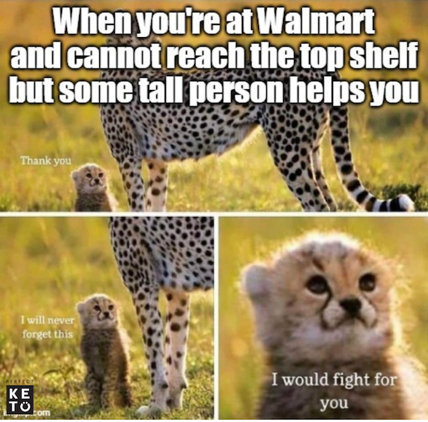 The happiest heckin' memes I could get my mitts on
