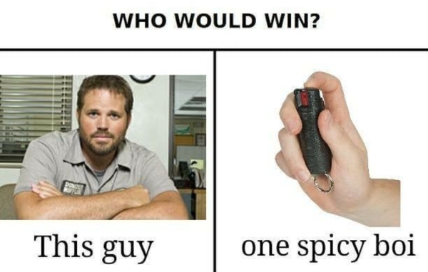 Memes only true fans of the "The Office" will understand (30 Photo