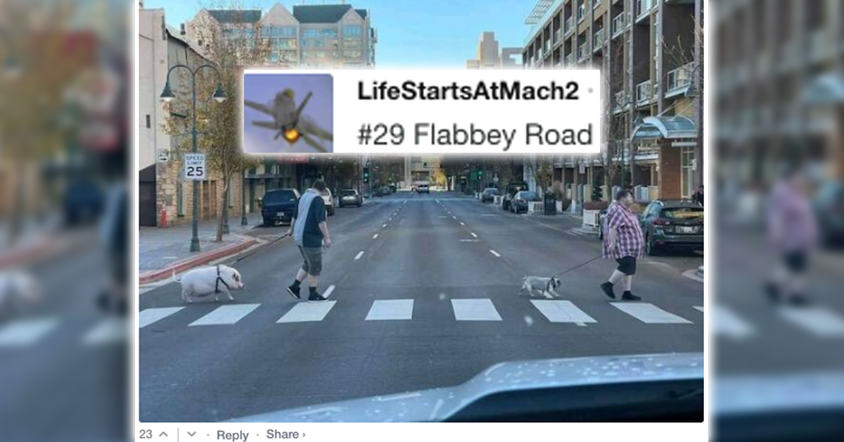 Top Comments of the week -- theCHIVE