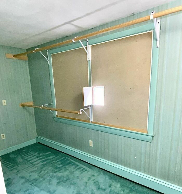 Horrifyingly hilarious home inspection fails
