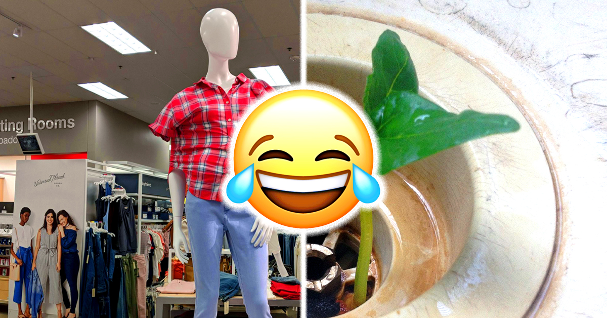 Laziness taken to a whole new level! | theCHIVE | Humor | Funny Pics