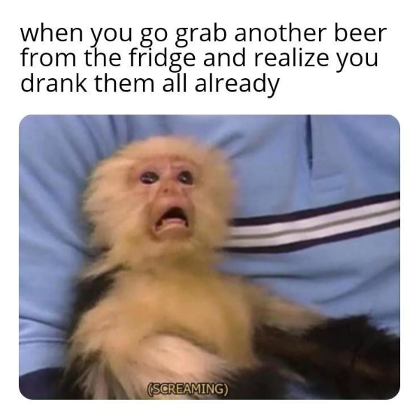 A Perfectly Poured Pint of Beer Memes
