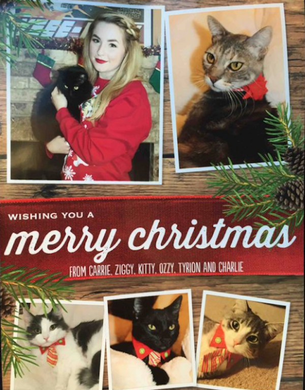 Single people's Christmas cards are *one* of a kind (get it?)