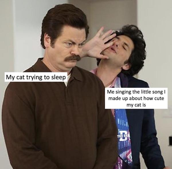 These Wholesome Memes are just pure internet bliss