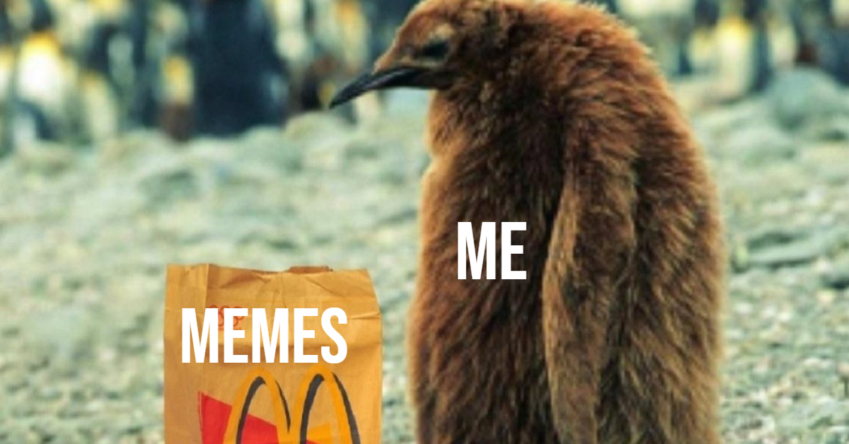 Welcome to the Dank Meme Parade