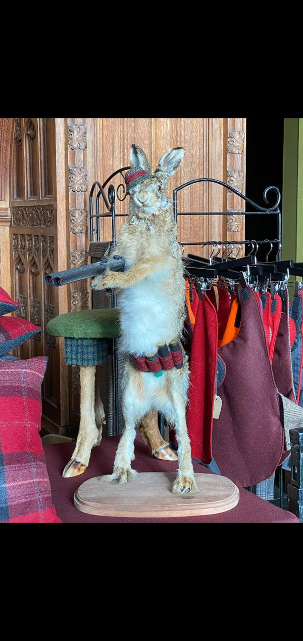 Bad taxidermy is an art unto itself