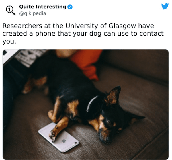 Fascinating, Random Facts To Share With Your Friends