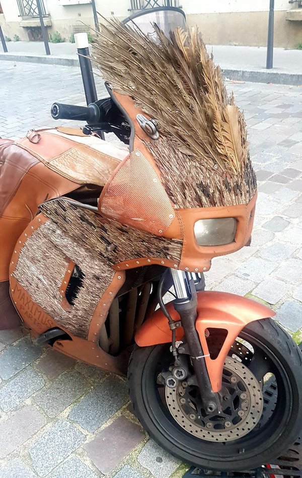 We have several questions about these weird photos | theCHIVE