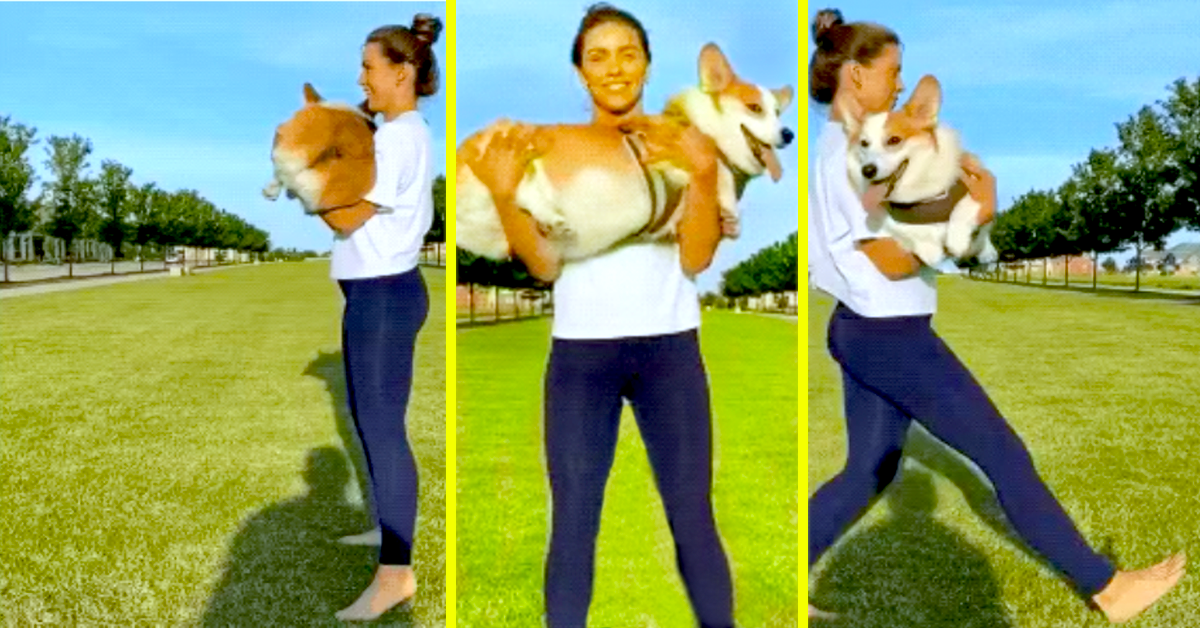 Dog Awesomeness Best GIFs