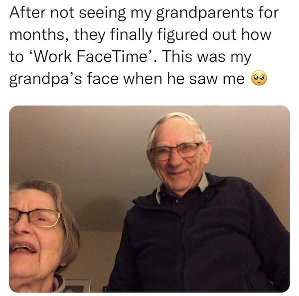 Wholesome memes bringing you warm, fuzzy smiles