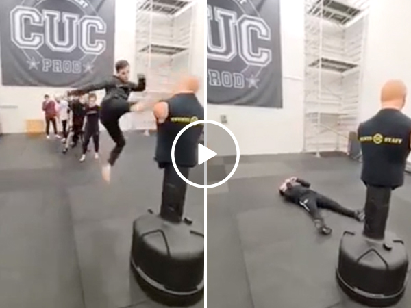 BOB had enough of their s**t and hit back