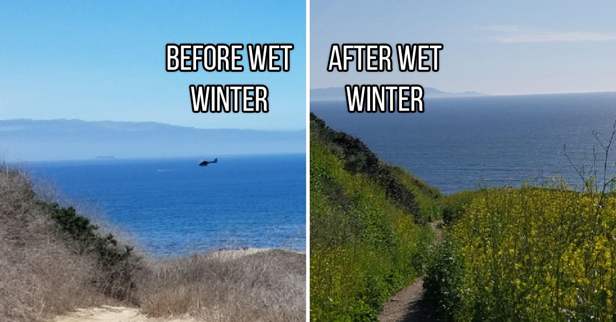 Before & After images show how much can change in a blink of an eye