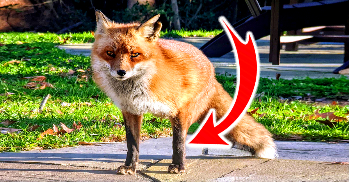 Your eyes deceive you, don't believe their lies | theCHIVE | Humor