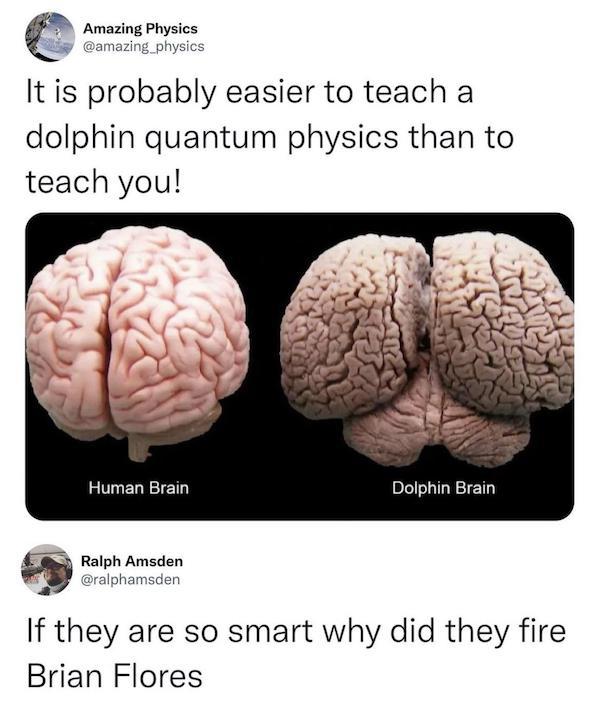 People who got absolutely DESTROYED by clever and biting comebacks!