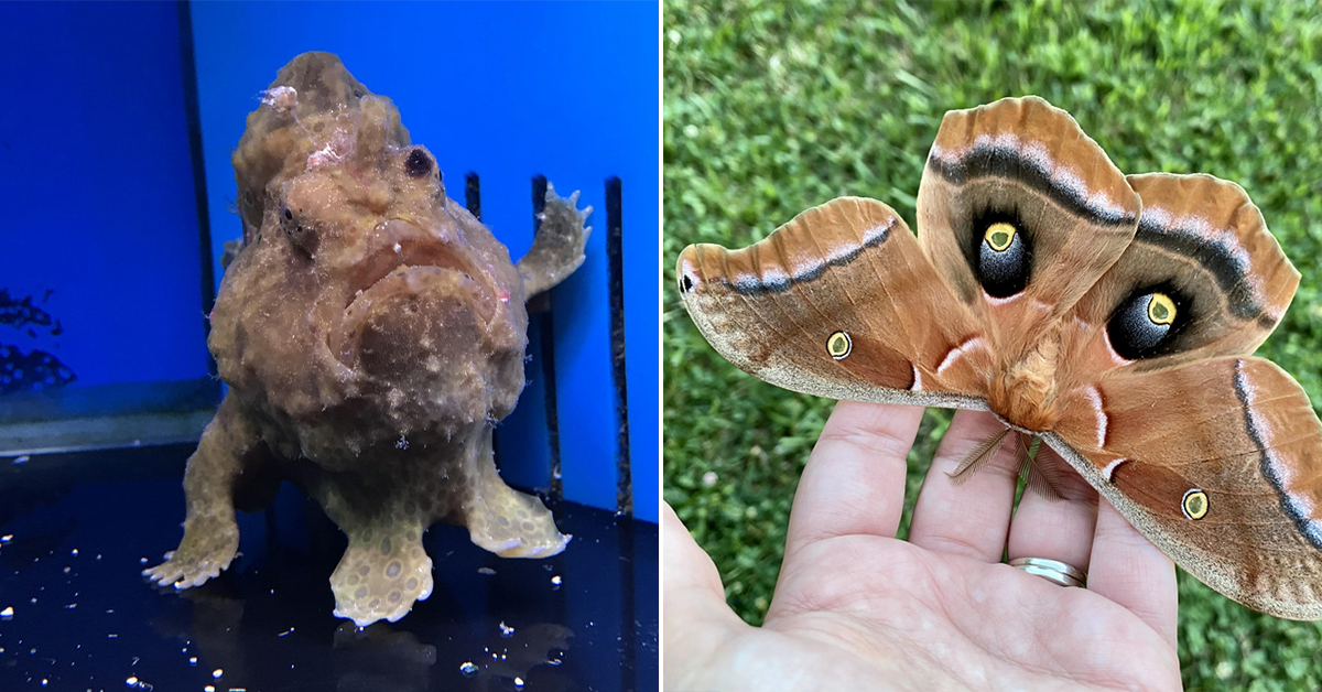 Nature is always keeping us on our toes