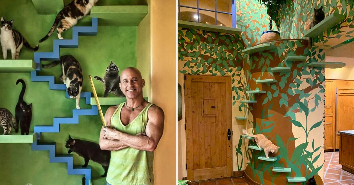Man creates a cat utopia house for his 20+ rescues