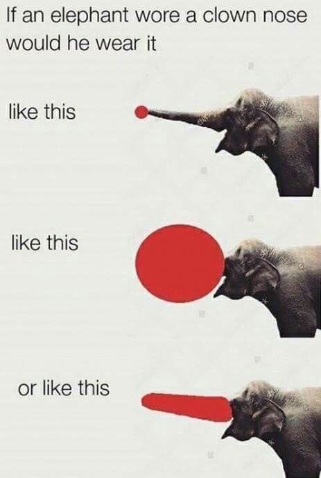 Heartwarming and wholesome animal memes bring instant smiles