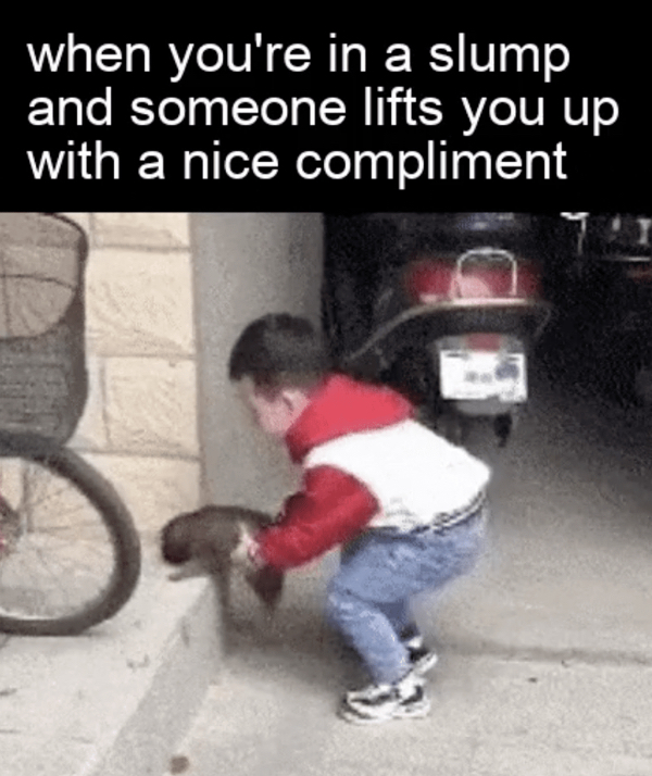 Heartwarming and wholesome animal memes bring instant smiles