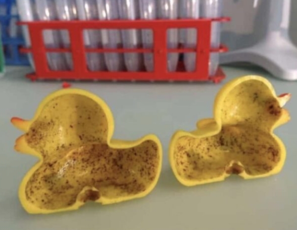 THAT'S what the inside of that looks like!?! (28 Photos)