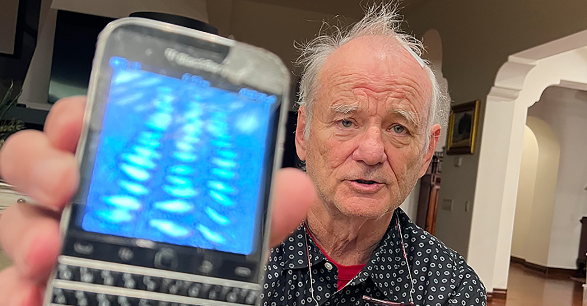 Bill Murray has a story for you!