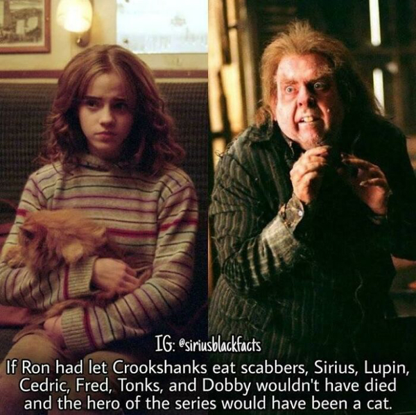 Calling all Potter-heads, it's a batch of memes straight from Hogwarts