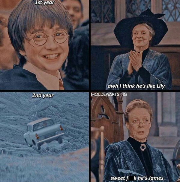 Calling all Potter-heads, it's a batch of memes straight from Hogwarts