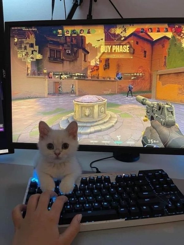 Get in the game with a fresh batch of video game memes