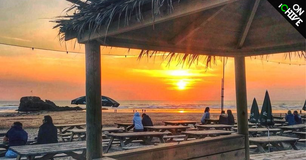 theCHIVE - Funny Pictures, Photos, Memes & Videos – theCHIVE.com