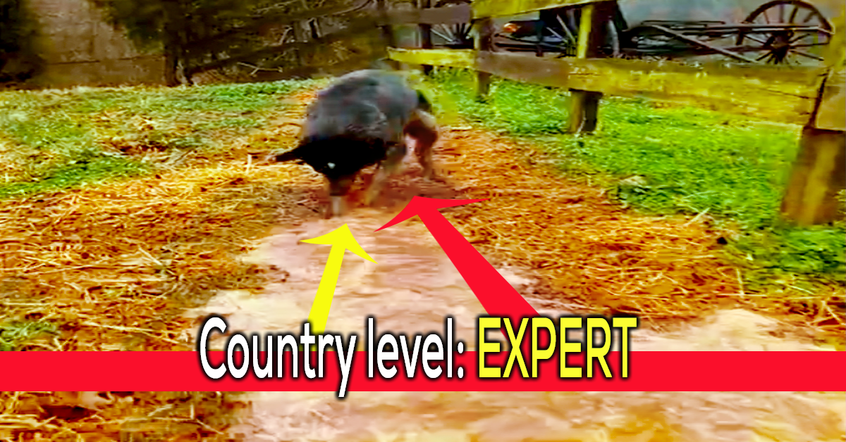 Funny Videos | Funniest Crazy Videos - theCHIVE