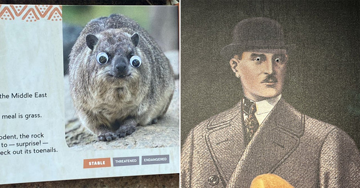 A moment to appreciate the fine art known as Googly Eyes