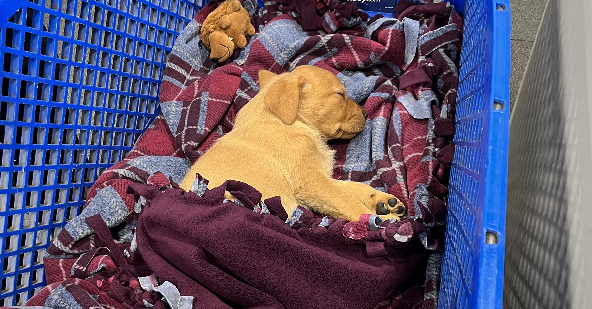 Offbeat interesting stories and pictures - theCHIVE