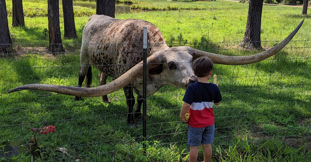 theCHIVE - Funny Pictures, Photos, Memes & Videos – theCHIVE.com