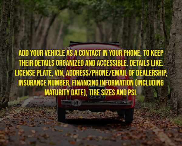 A Helpful Handful of Life Tips