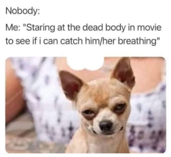 Lights, Camera, Action, Memes!!! (30 Photos)