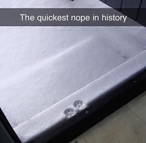 That's an absolute NOPE for us here!