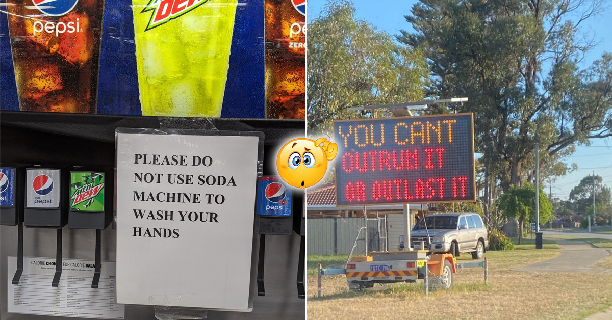 Bizarre signs that make little to no sense