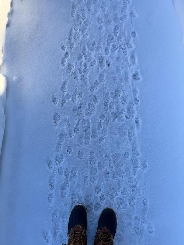 You rarely see such sights, natural and unnatural