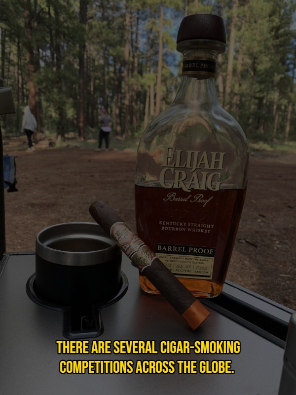 Light Up Interesting Facts About Cigars