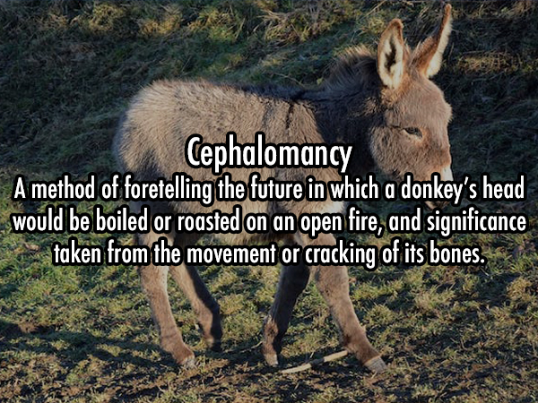 Yes, these weird AF words are actually in the dictionary