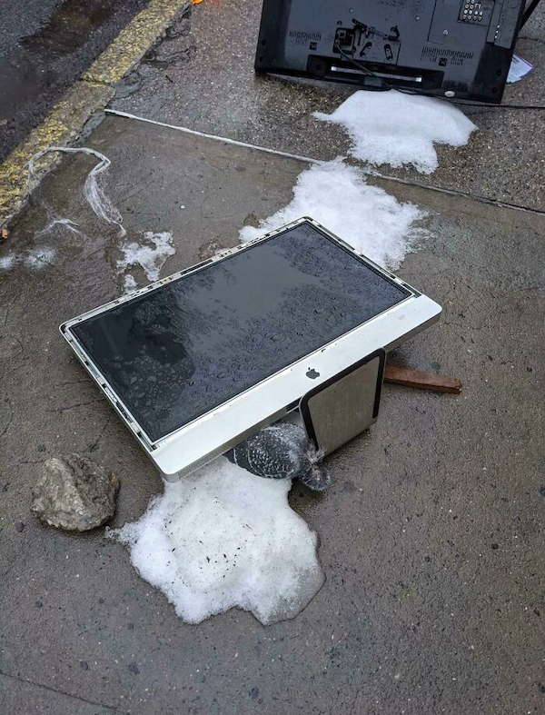 The worst FAILS that tech support couldn't even save